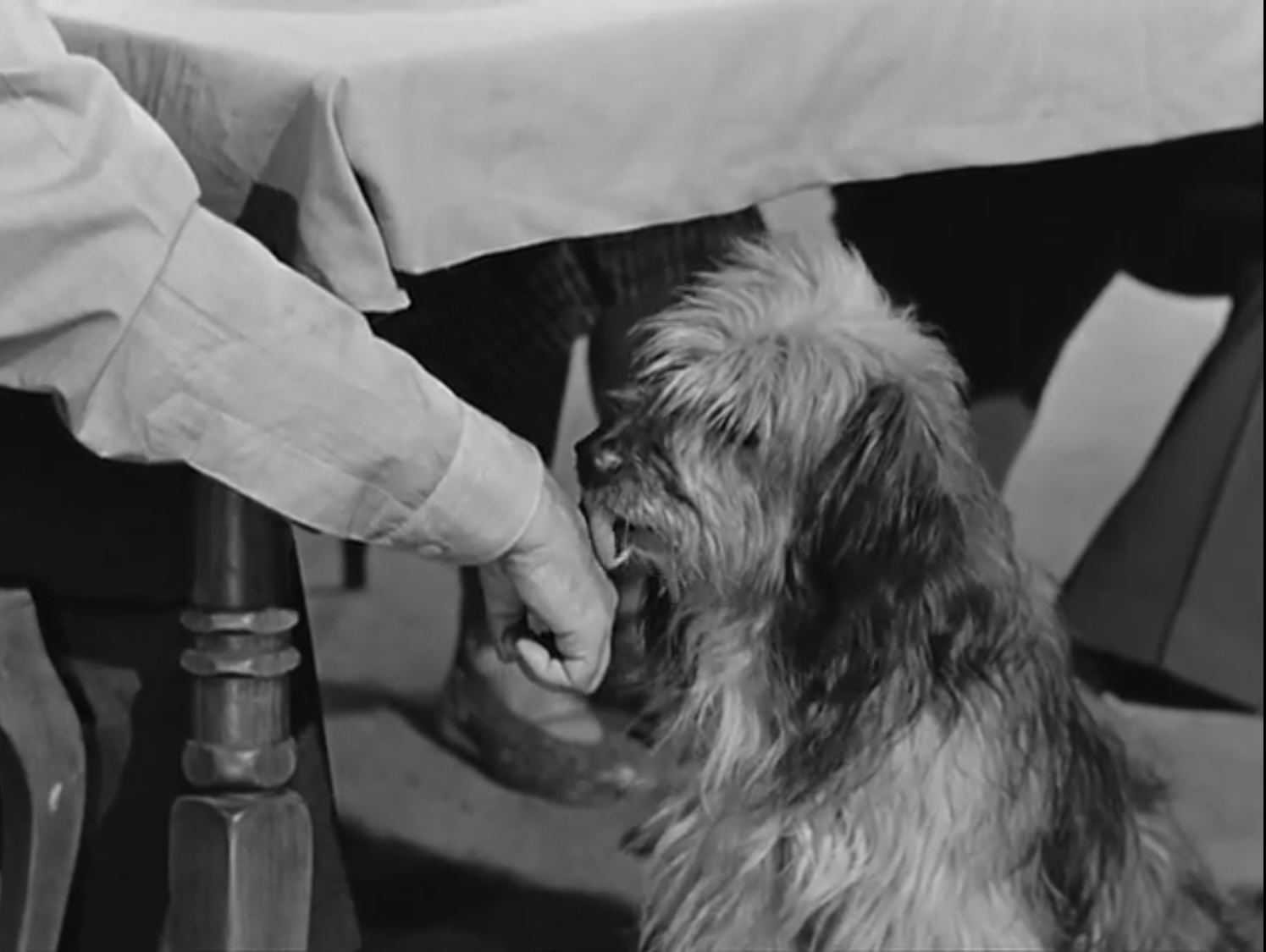 Butch, the Dog from I Love Lucy (S01E03, 1950) – Minor Characters