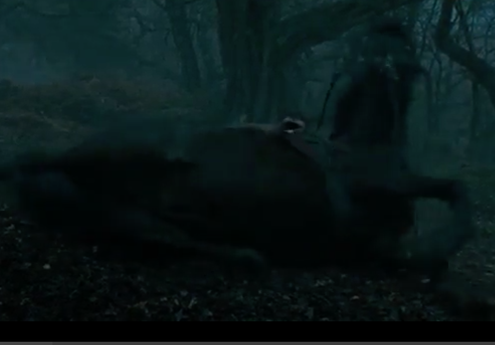 Rochester’s Horse from Jane Eyre (2011) – Minor Characters